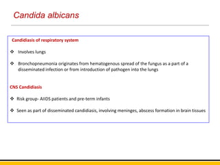 Candida albicans | PPTX
