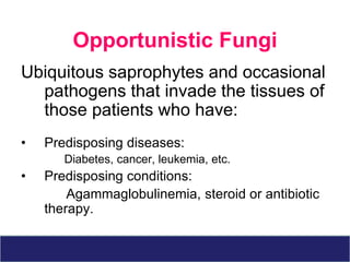 Mycology -introduction and lab diagnosis with QC | PPT