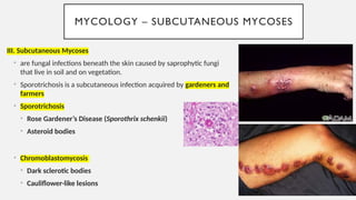 MYCOLOGY microbiology and parasitolory (1).pptx