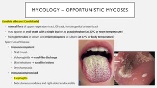 MYCOLOGY microbiology and parasitolory (1).pptx