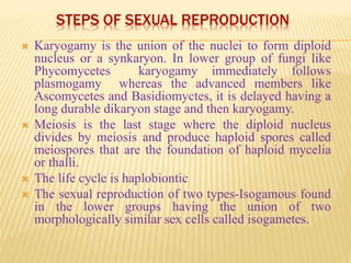 Mycology1 converted | PPT