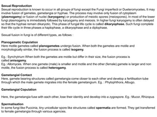 Mycology 1st Year B.Sc. Hons.ppt