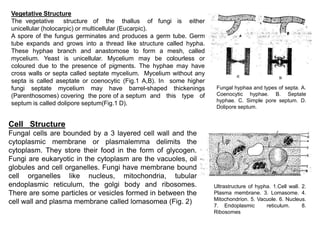 Mycology 1st Year B.Sc. Hons.ppt