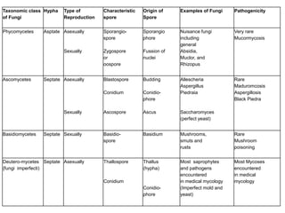 Mycology 1st Year B.Sc. Hons.ppt