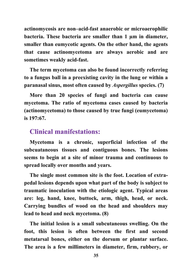 Mycology (2).pdf....by ali....rasool..pdf