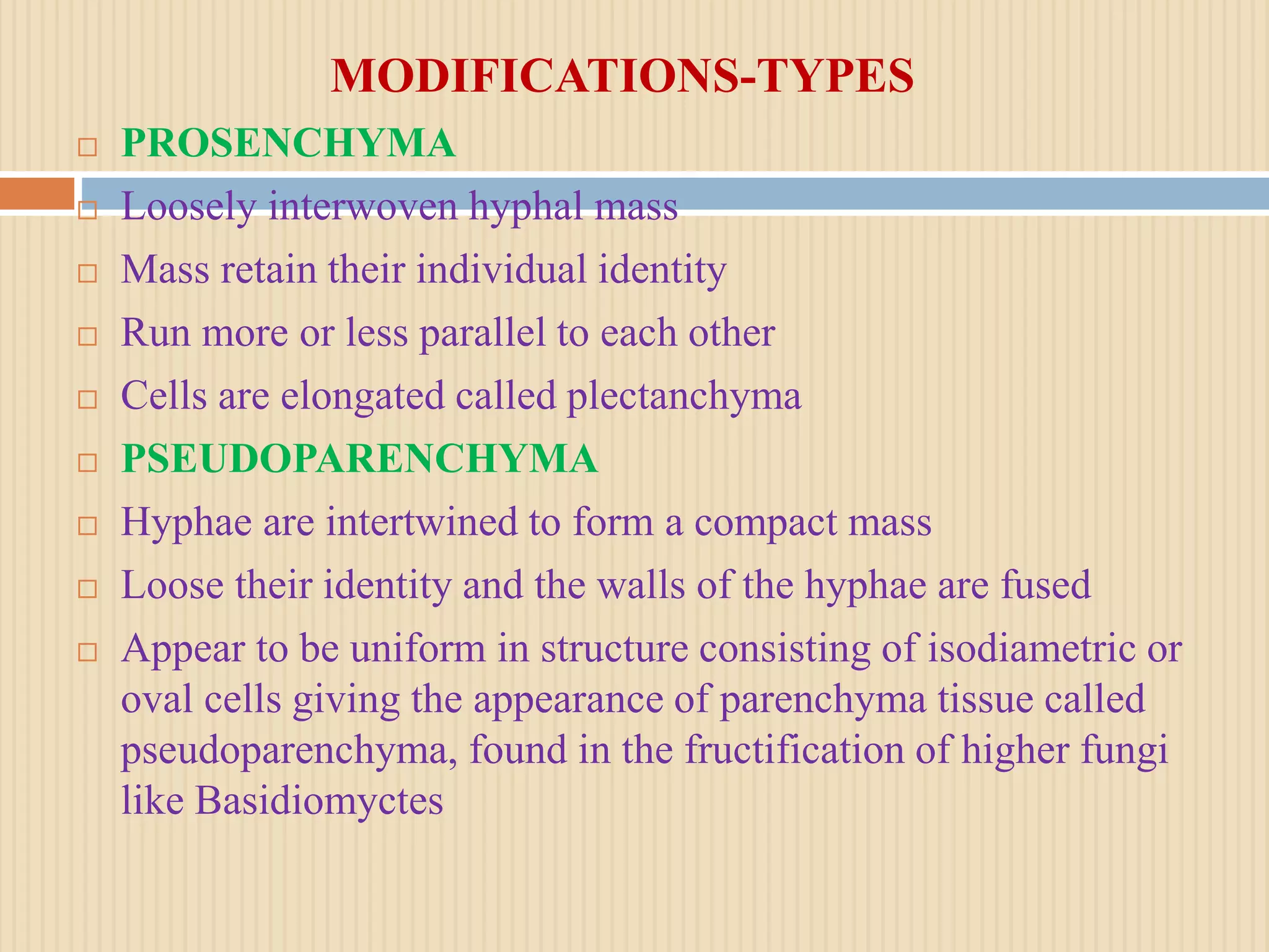 Fungi-Cell wall & Range of Thallus Structure | PDF