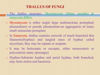Fungi-Cell wall & Range of Thallus Structure | PDF
