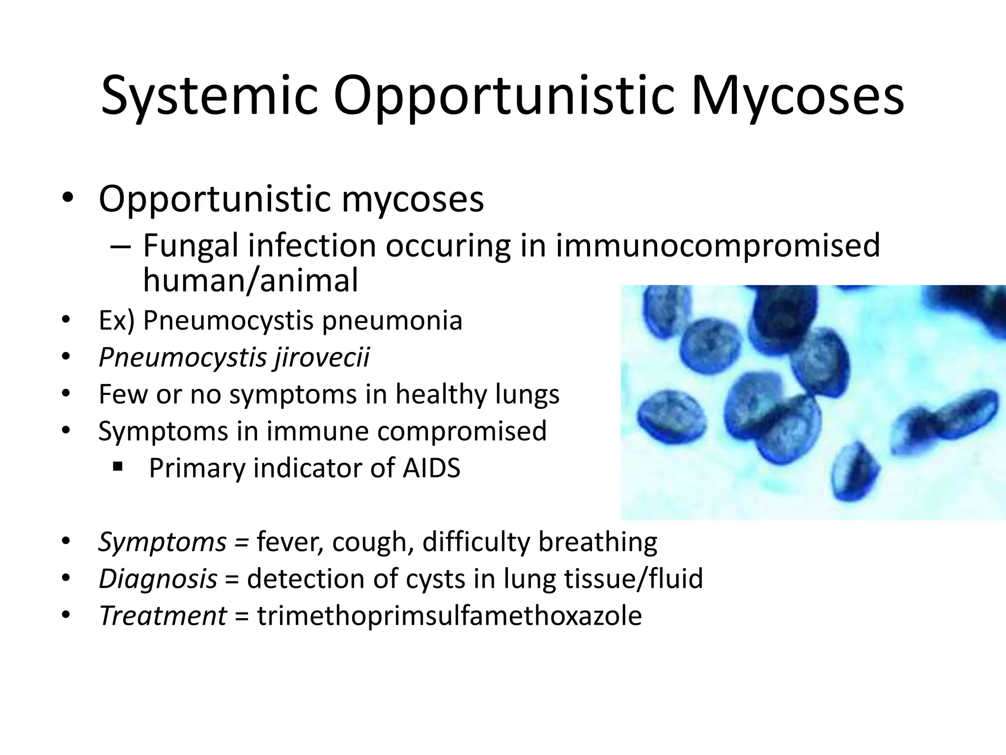 6 - Mycology and Fungal Pathogens | PPTX