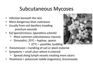 6 - Mycology and Fungal Pathogens | PPTX
