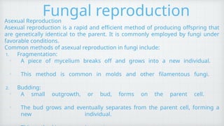Structure and Reproduction of Fungi.pptx