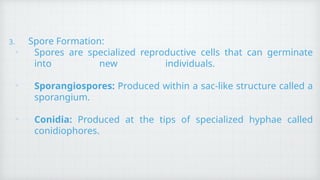 Structure and Reproduction of Fungi.pptx
