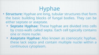 Structure and Reproduction of Fungi.pptx