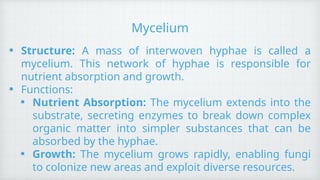 Structure and Reproduction of Fungi.pptx