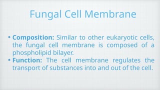 Structure and Reproduction of Fungi.pptx