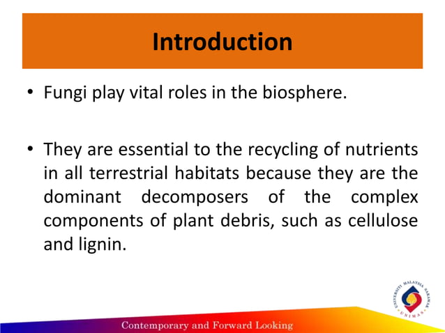 Mycology fungi ecological importance | PPTX