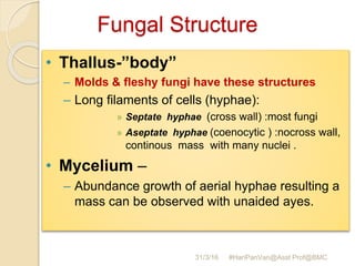 Mycology introduction hpv | PPTX