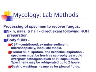 Comprehensive Laboratory Methods for Mycology Specimen Collection and ...