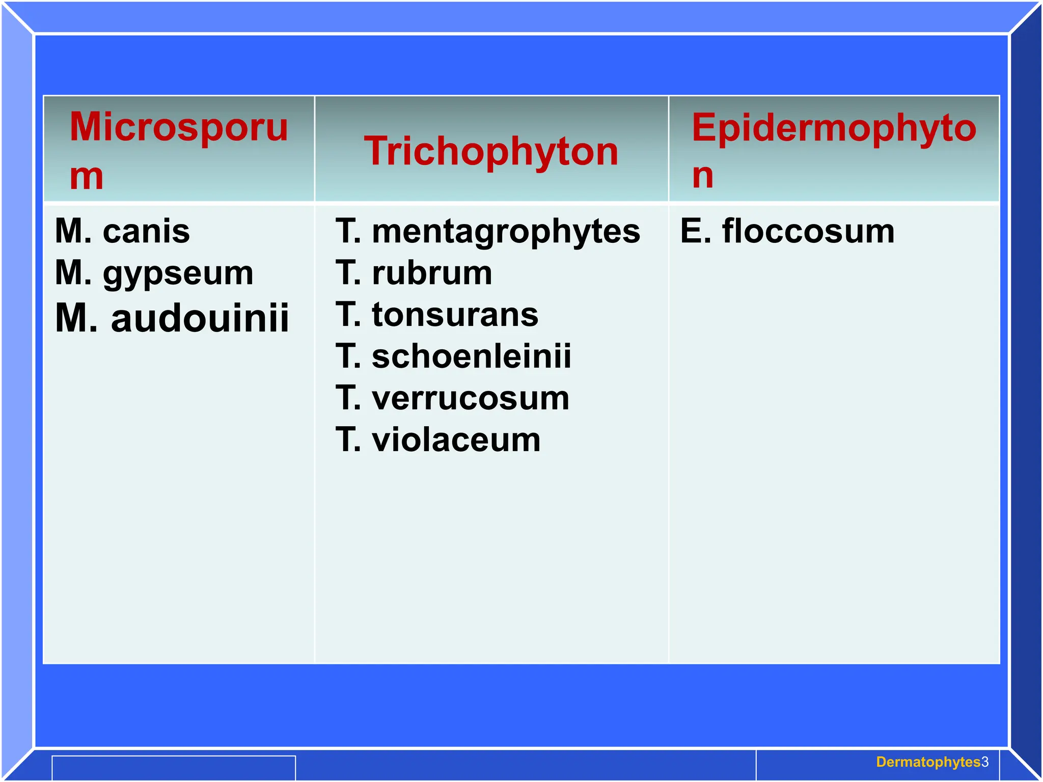 Mycology Lec.4.pdf medically important fungal | PDF