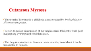 Mycology (1).pptx