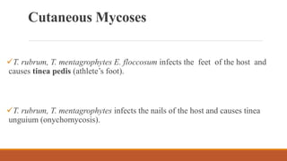Mycology (1).pptx