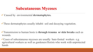 Mycology (1).pptx