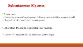 Mycology (1).pptx