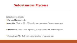 Mycology (1).pptx