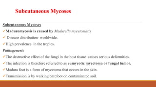 Mycology (1).pptx