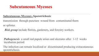 Mycology (1).pptx