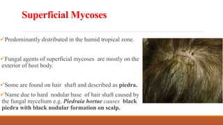 Mycology (1).pptx