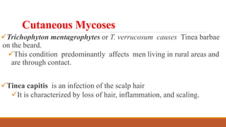 Mycology (1).pptx