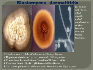 Histopathological Diagnosis of Fungal Infections of 21st century | PPT