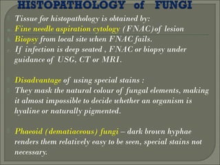 Histopathological Diagnosis of Fungal Infections of 21st century | PPT