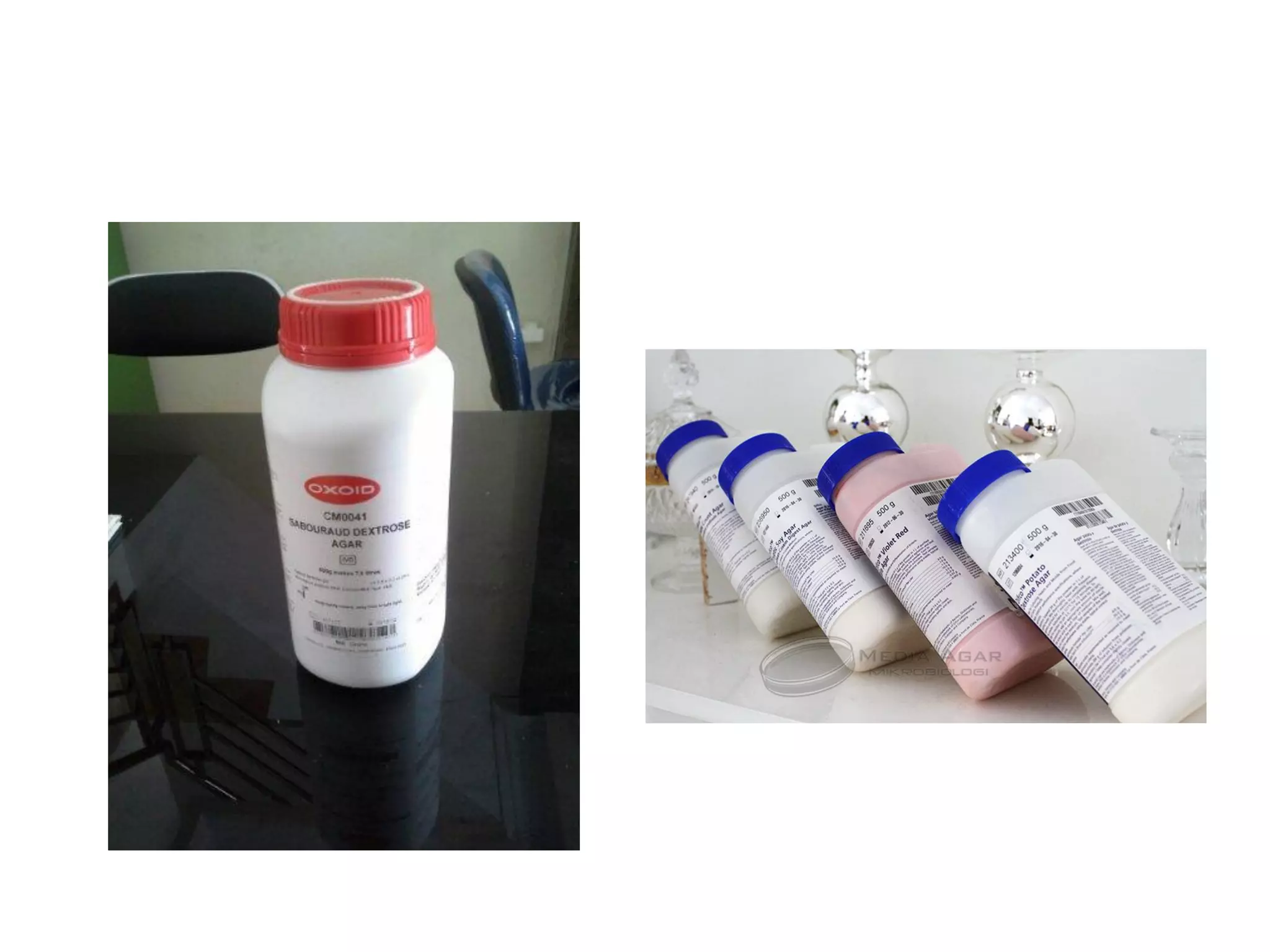 Mycology ppt ii laboratoy techniques for isolation and identification ...