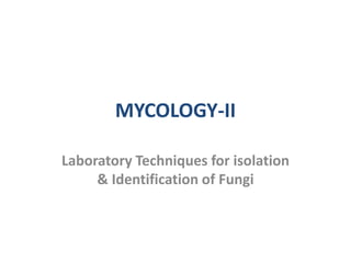 Mycology ppt ii laboratoy techniques for isolation and identification of fungi | PDF