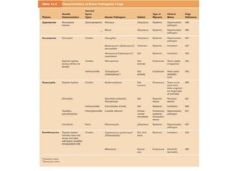 Mycology ppt ii laboratoy techniques for isolation and identification of fungi | PDF