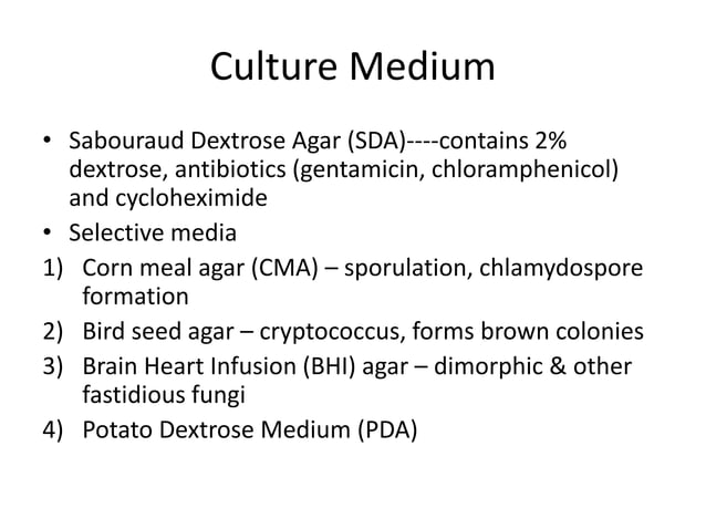 Mycology ppt ii laboratoy techniques for isolation and identification of fungi | PDF