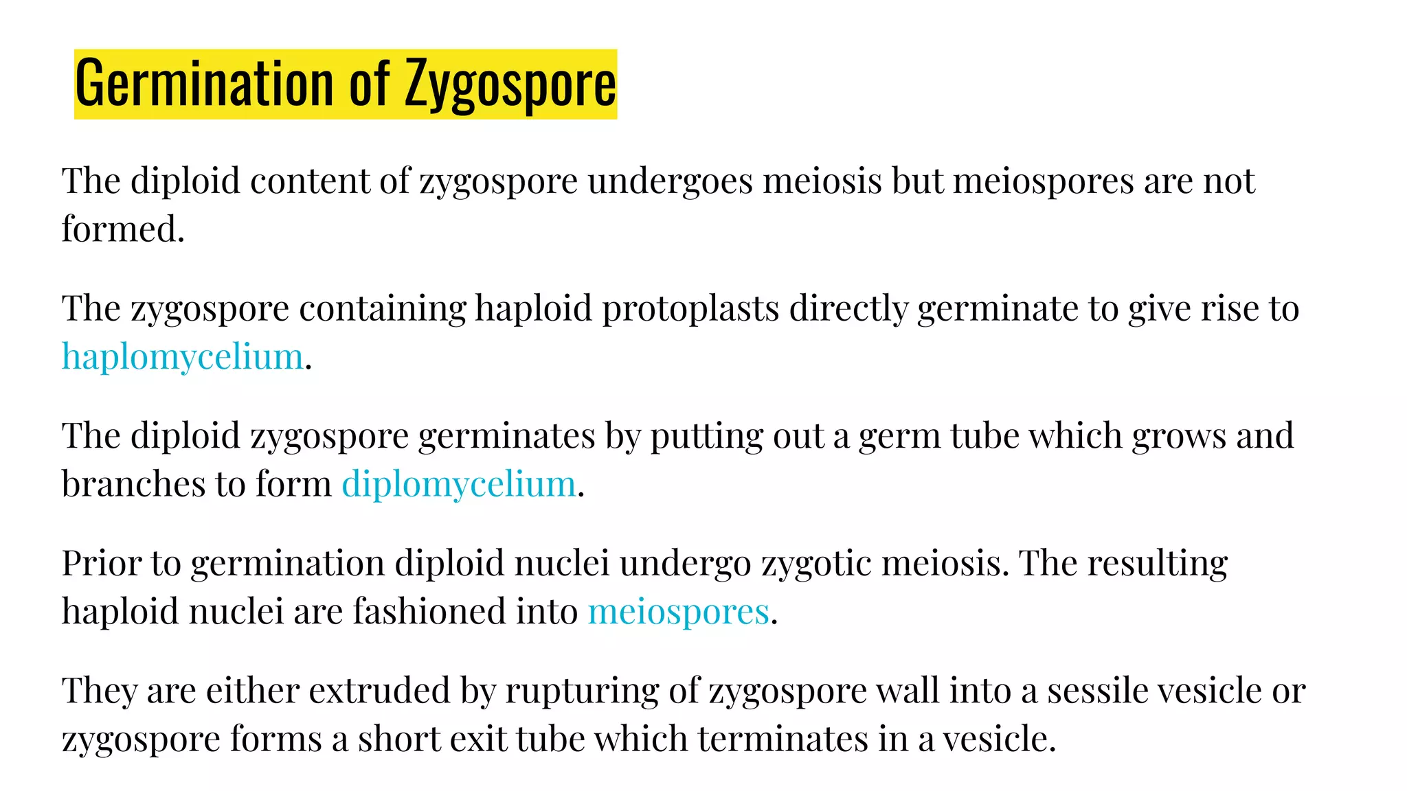 Mycology presentation (phycomycetes) | PDF