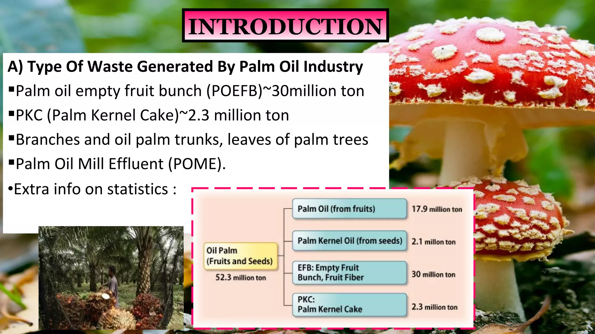 Mycology slide | PPT