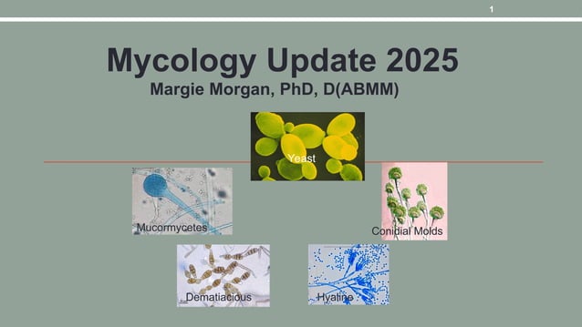 Mycology Update 2025 - Margie Morgan, PhD | PPT
