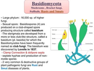 Mycoloy rust & smut etiology and its management | PPTX