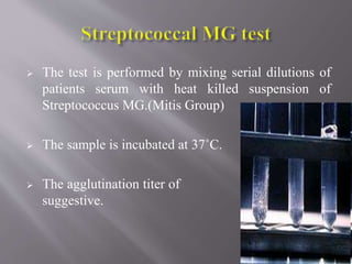Mycoplasma Infection | PPTX