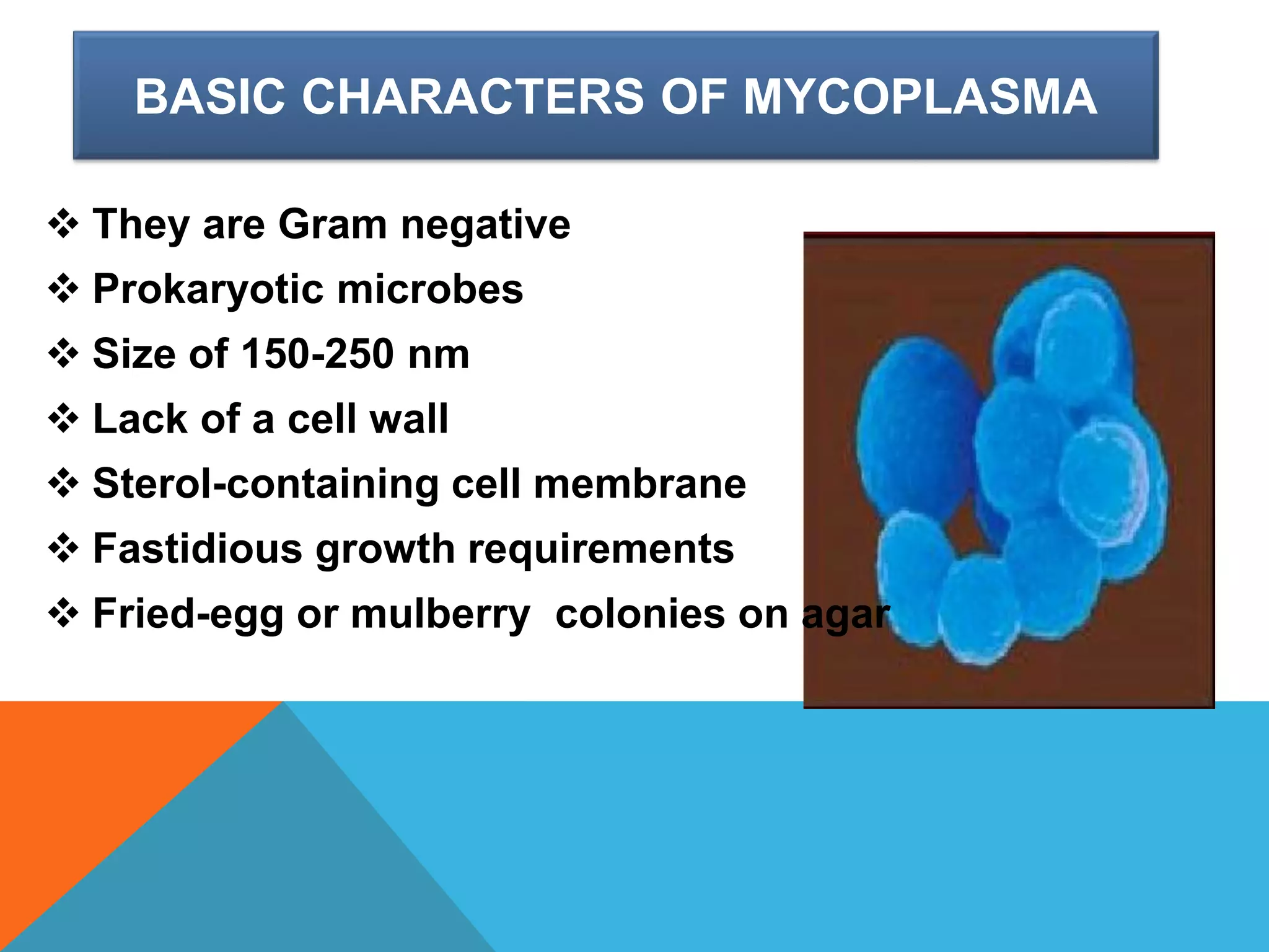 Mycoplasma | PPTX
