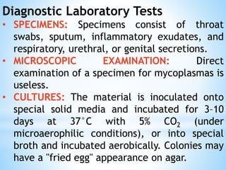 Mycoplasma | PPTX