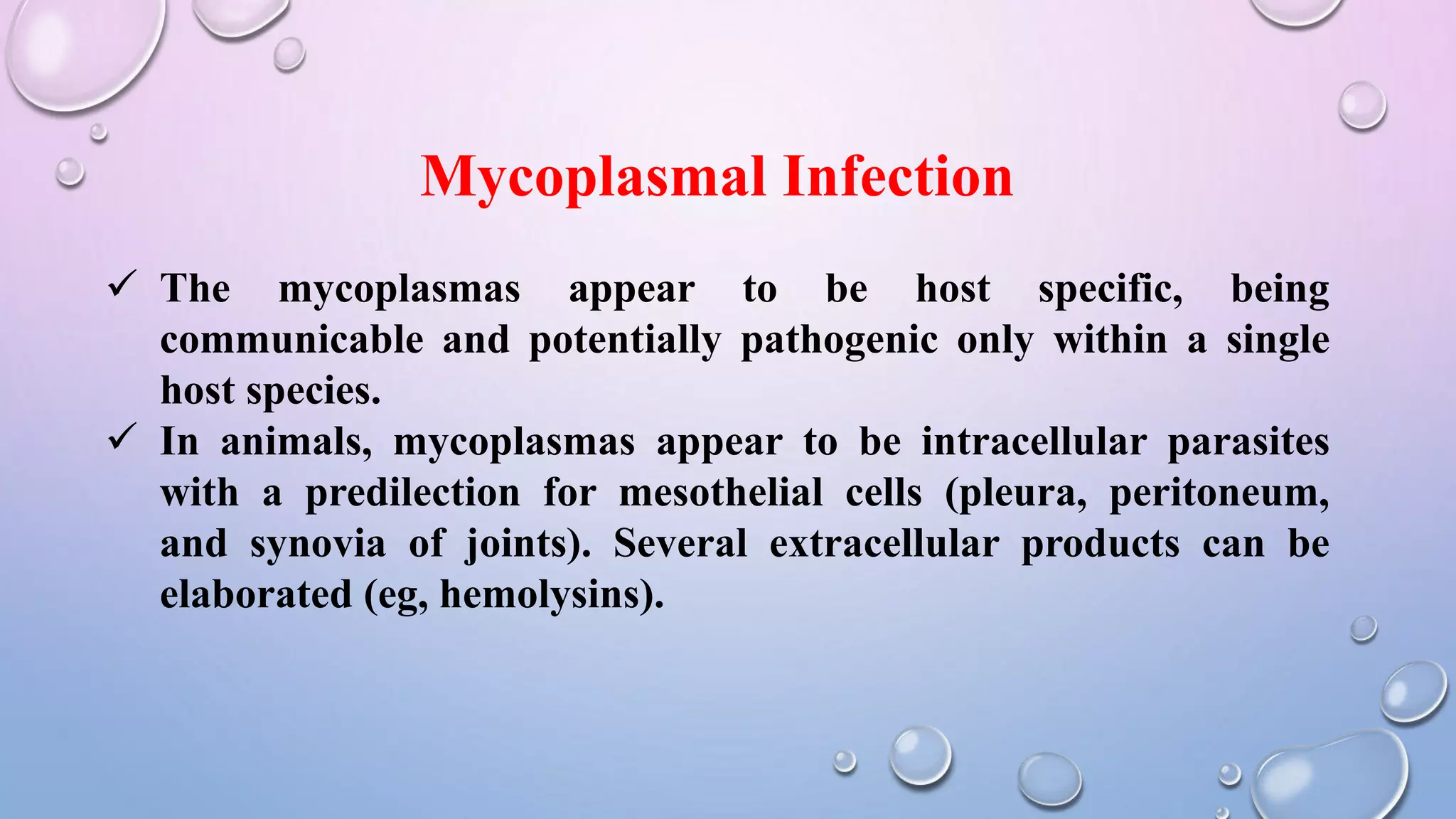 Mycoplasma | PPTX