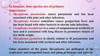 Mycoplasma | PPTX
