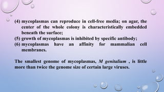 Mycoplasma | PPTX