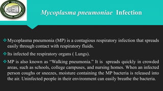 Mycoplasma | PPT