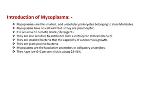Mycoplasma General Account | PPTX