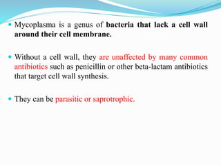 Mycoplasma | PPTX | Biological Sciences | Science
